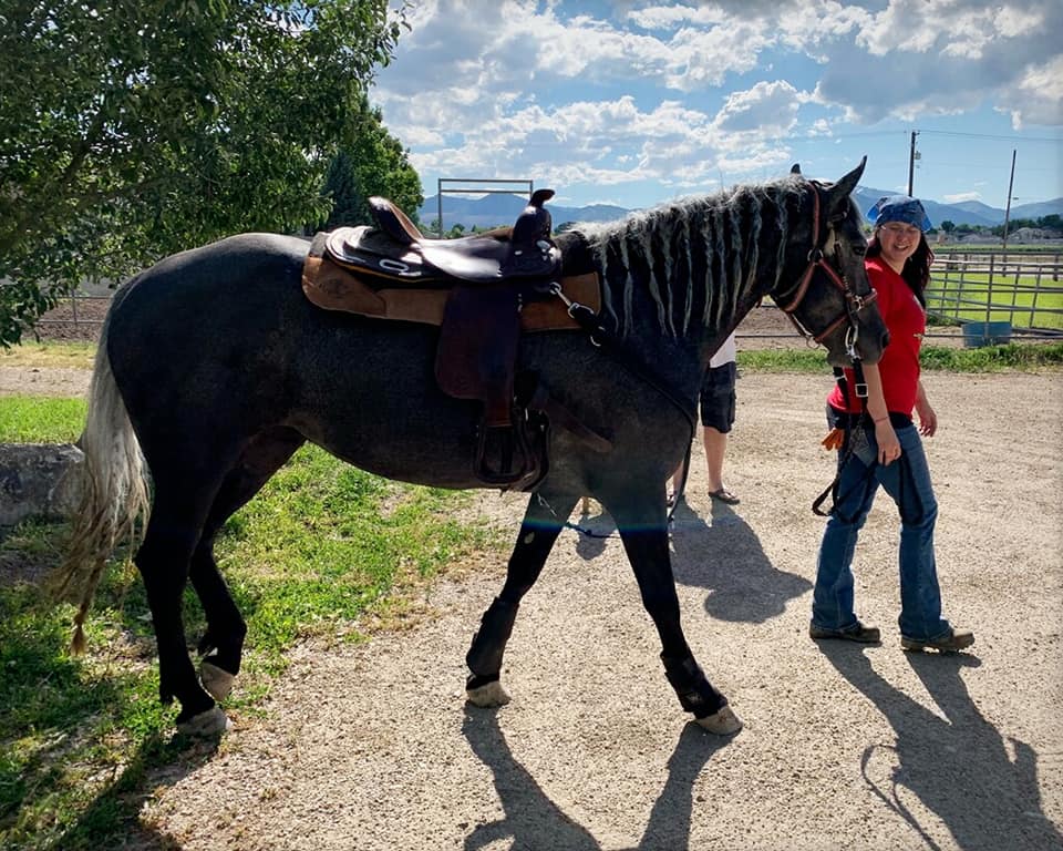 Mary Coombs, LCSW – Trauma-Informed Therapist and Equine-Assisted ...